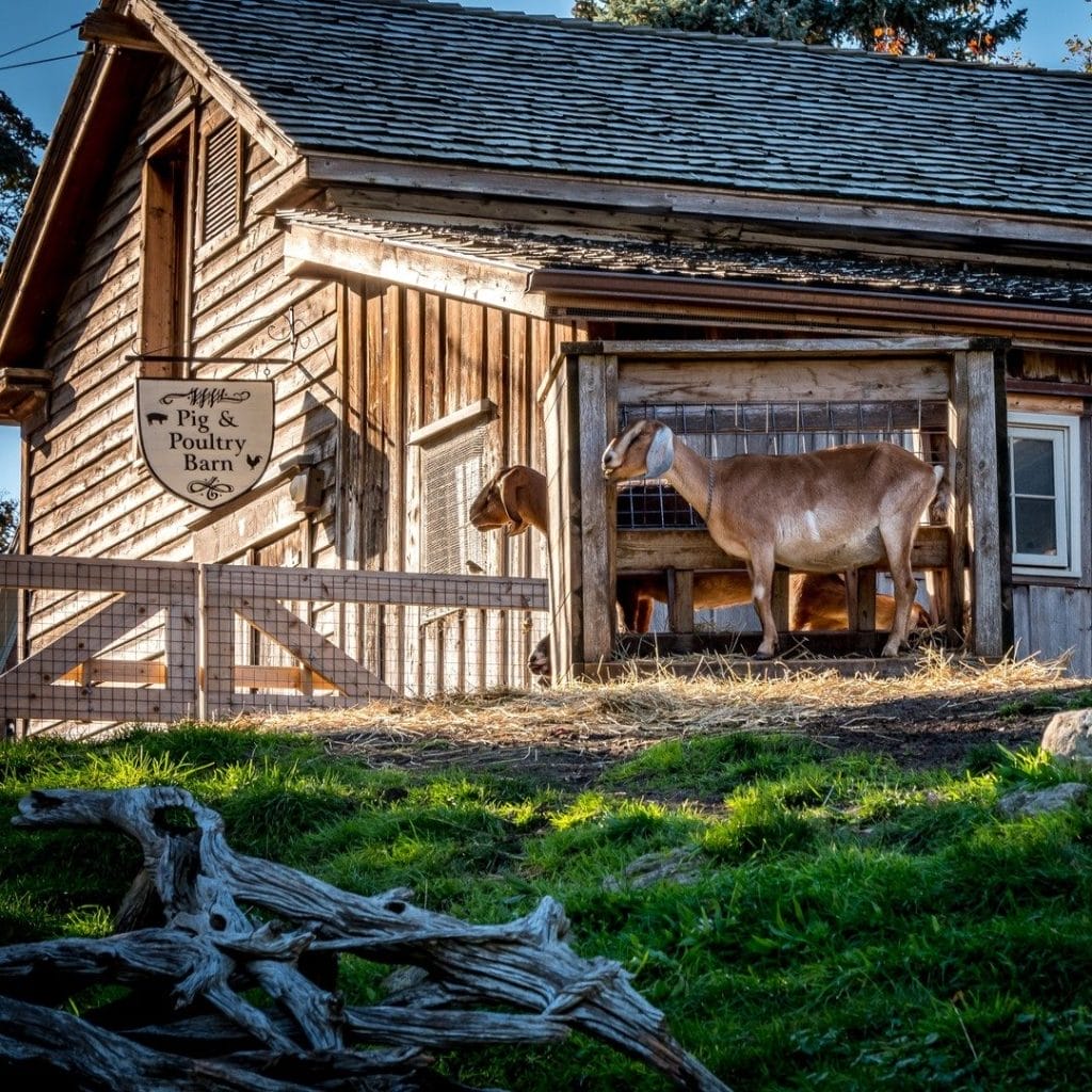 When is Family Day 2026? 15 Fun (and Budget-Friendly) Things to Do in ...