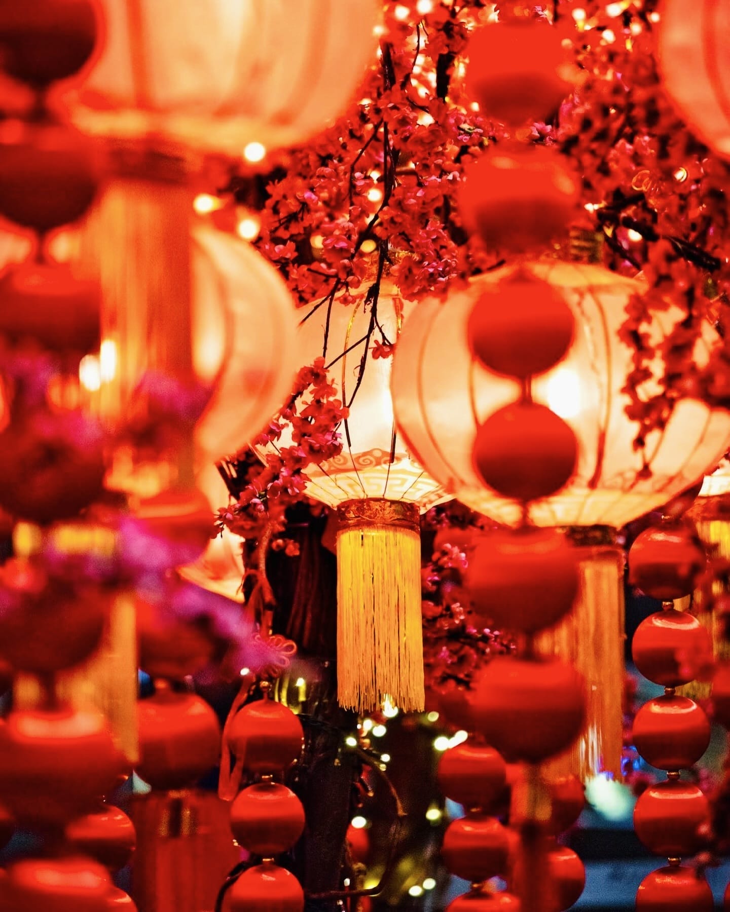 Lunar New Year 2026 Toronto: Downtown vs. Markham (Best Spots) • Over Here Toronto