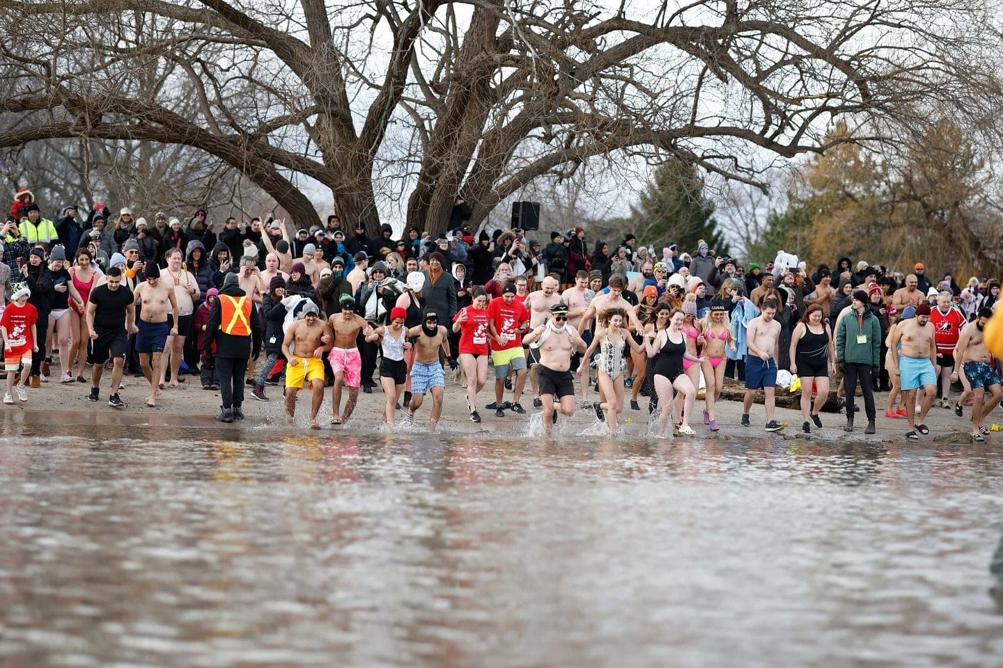 Polar Bear Dip Toronto 2026: Sunnyside vs. Woodbine Guide • Over Here ...